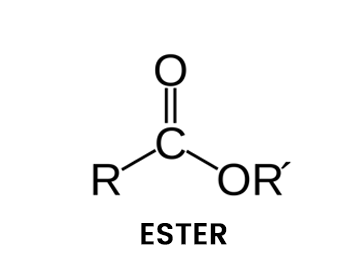 Ester - Definition, Structure, Esterification and Uses | PW
