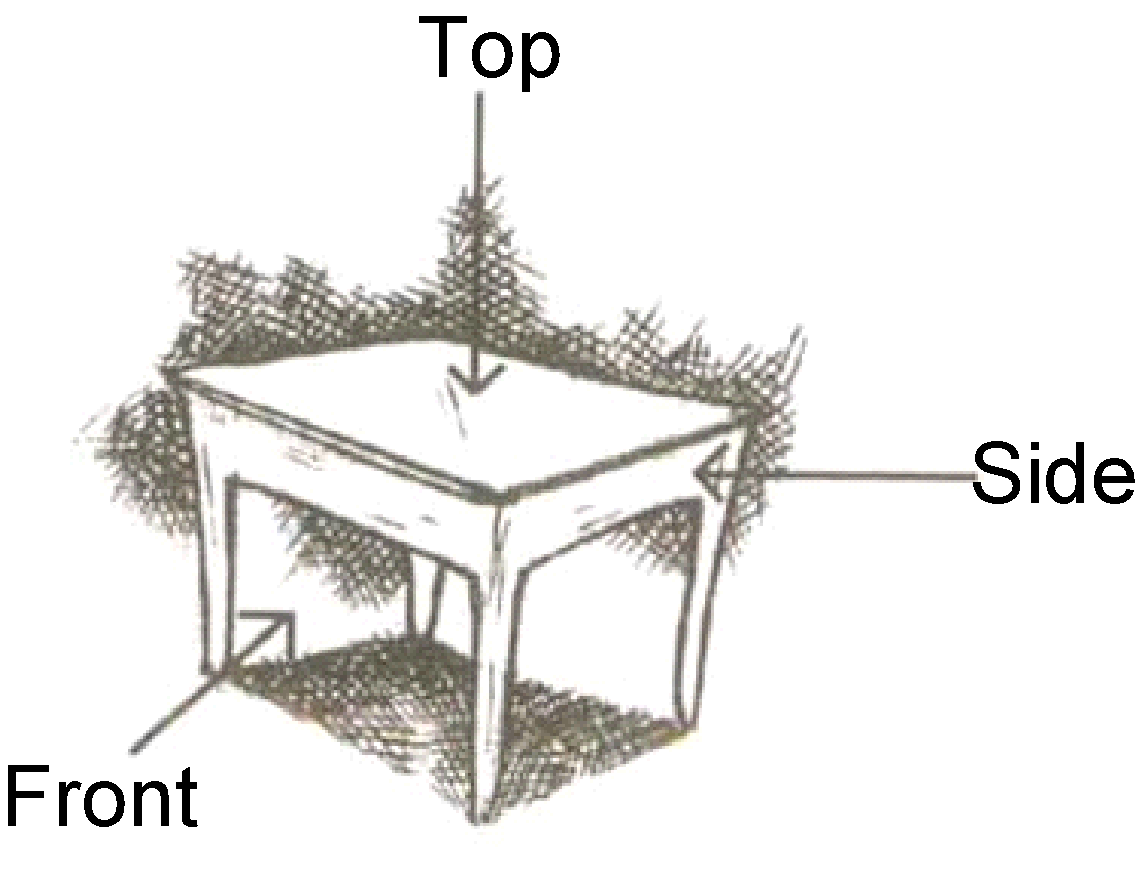 Three dimensional shapes and their properties | PW