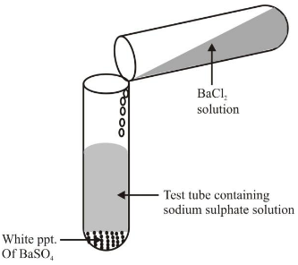 Double Displacement Reaction Experiment