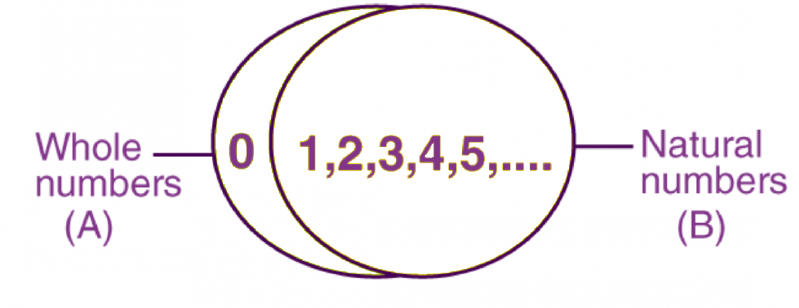 Natural Number- Concept, Definition, Properties | Pw