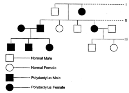 Pleiotropy | Pleiotropy example | pleiotropy example in animals