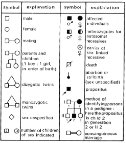 Pleiotropy | Pleiotropy example | pleiotropy example in animals