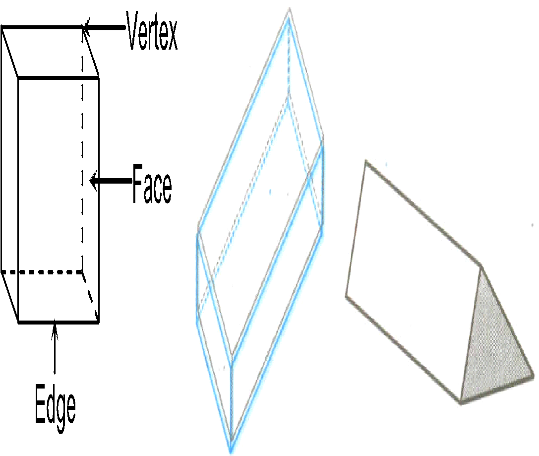 Polyhedrons And Nonpolyhedrons