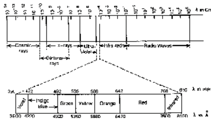 Raw Materials Class 11 | PW