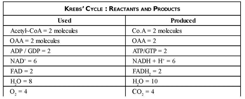 Kreb's Cycle | About Kreb's Cycle | How Kreb's Cycle works