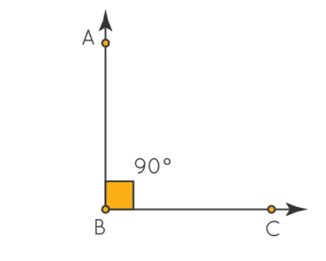 Seven Different Types Of Angles | Physics Wallah