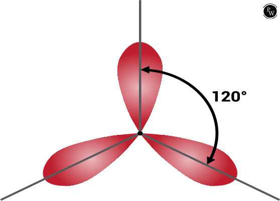 Hybridization- Definition, Key Feature, Types | Physics Wallah