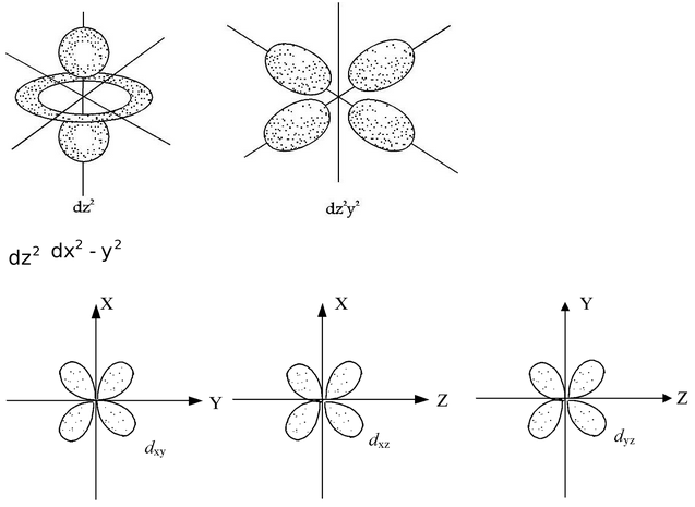 Quantum Numbers and Atomic Orbitals of Atom - Physics Wallah