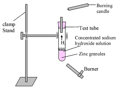 Properties Of Bases
