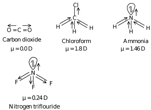 Shape of Molecules - Class 10 chemistry Notes - Physics Wallah