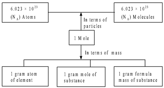 Mole Concept Basics - Physics Wallah