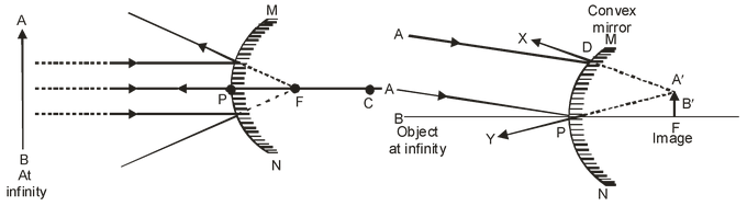Important Terms Related To Spherical Mirrors - Physics Wallah