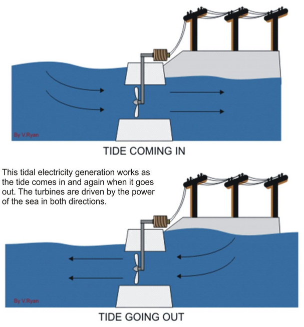 Non Conventional Sources Of Energy Class 10 |PW