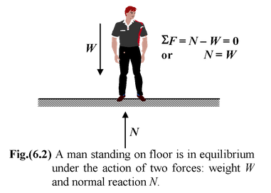 Equilibrium of Laws Of Motion in Physics class 11