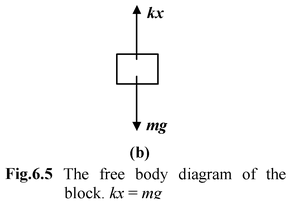 Equilibrium of Laws Of Motion in Physics class 11