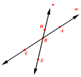 Basic Geometrical Ideas Worksheet-1 for Class 6 Maths | PW