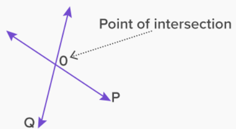 Basic Geometrical Ideas Worksheet-1 for Class 6 Maths | PW