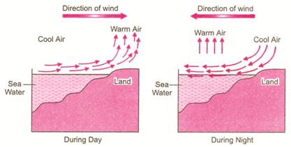 Land Breeze Definition