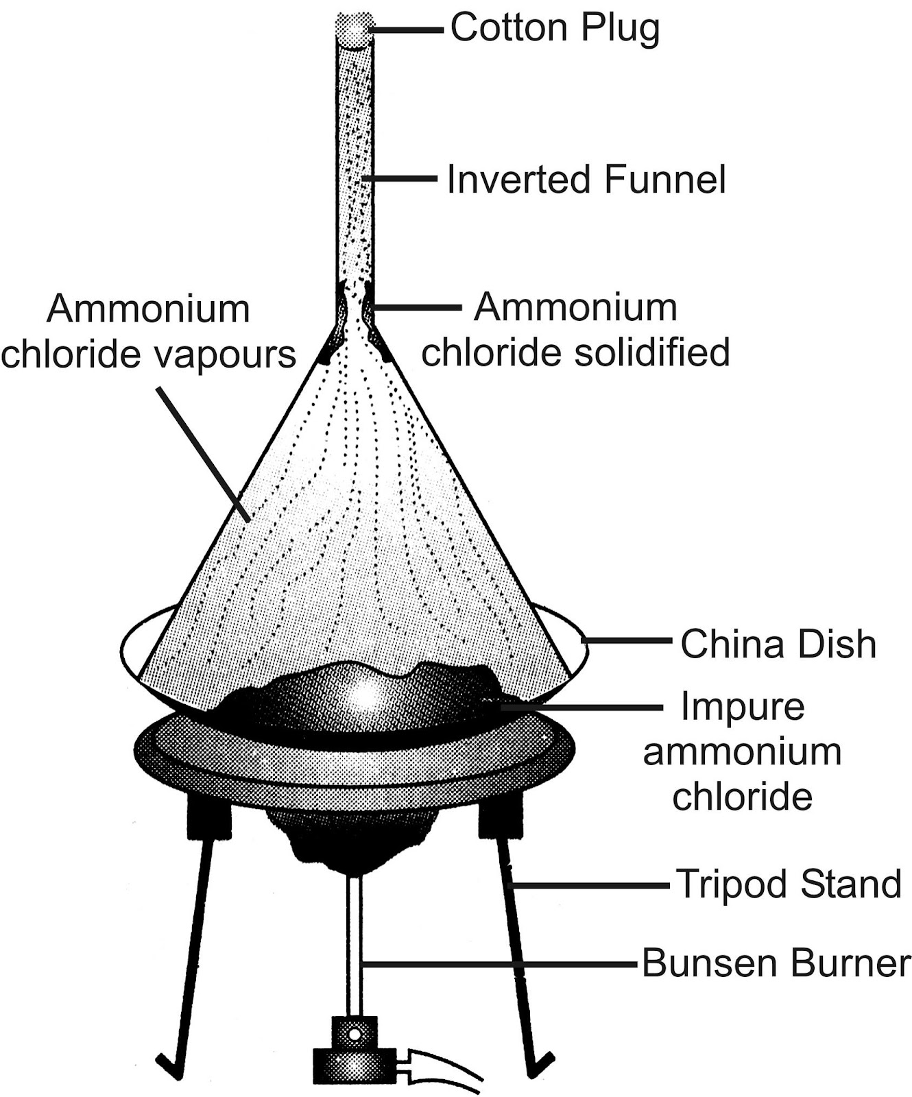 Interconversion Of States Of Matter Class 9 | PW