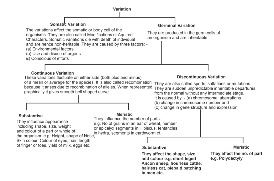 Genetic Basis of Inheritance Question & Theory